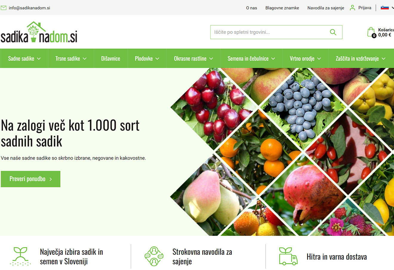 Okrasne rastline | Sadika na dom